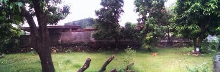 Trees Need More Than Just Hugs And Kisses – Get Real Post