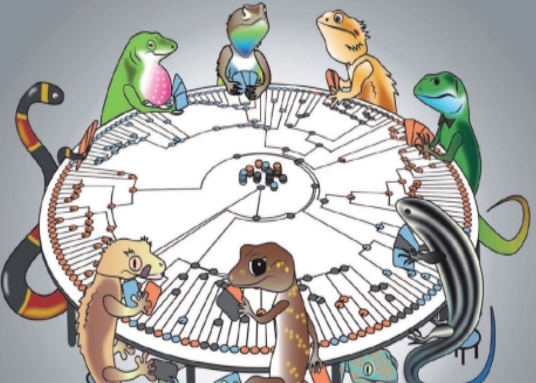 A Tale of Three Genetic Mutations: Aquinos’ Rare Deleterious Alleles ...